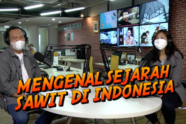 Friday talk - sawit masih jadi andalan (part 3) - ANTARA News