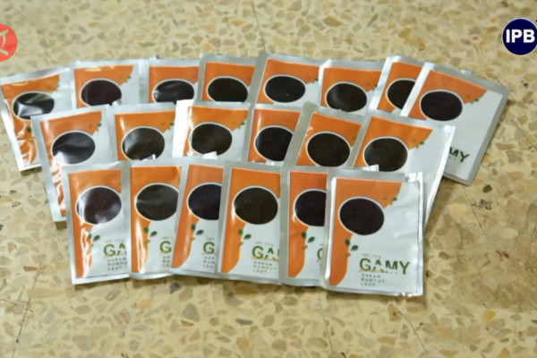 Menggali manfaat garam GAMY untuk kesehatan dan kecantikan - ANTARA News