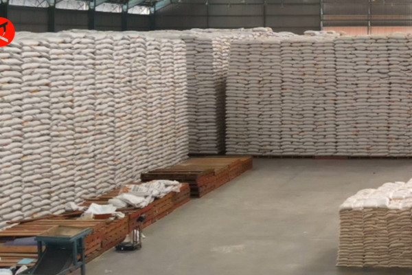 Bulog siapkan 1.600 ton beras untuk tanggap darurat bencana di Kalbar - ANTARA News