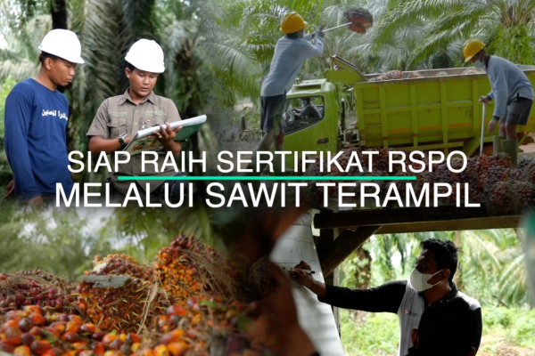 520 petani sawit siap raih sertifikat RSPO melalui Sawit Terampil - ANTARA News
