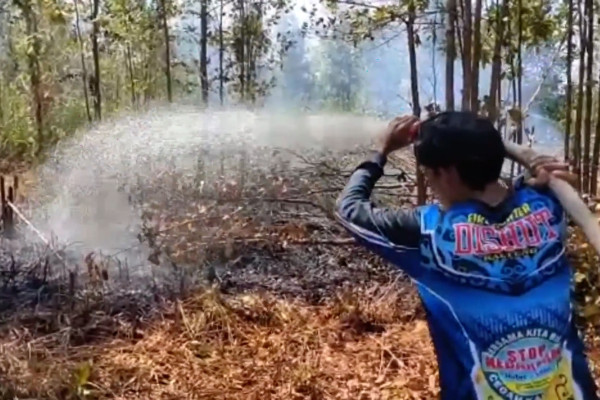 Karhutla terjadi setiap hari di Palangka Raya, diduga disengaja - ANTARA News