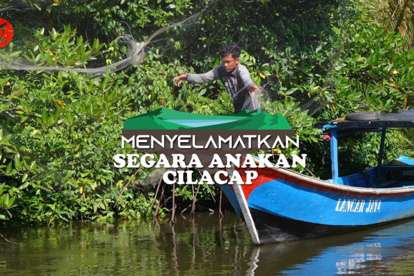Menyelamatkan Segara Anakan Cilacap bagian 3 - ANTARA News