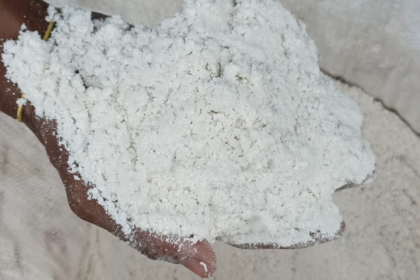 Pembuatan tepung sagu dari batang pohon rumbia di Kalsel - ANTARA News