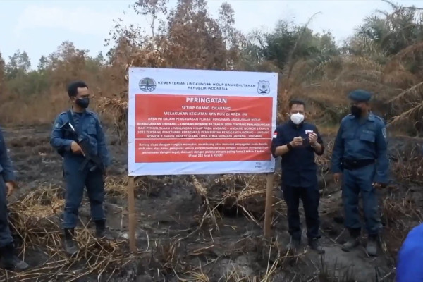 Pemerintah segel 35 lahan sumber karhutla, 22 perusahaan digugat - ANTARA News