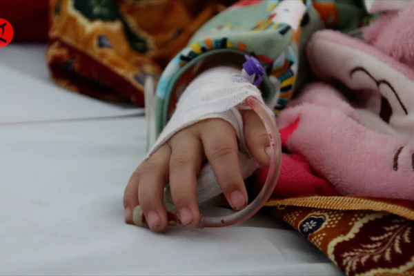 Kasus DBD di Kalbar melonjak, ribuan pasien dirawat intensif - ANTARA News