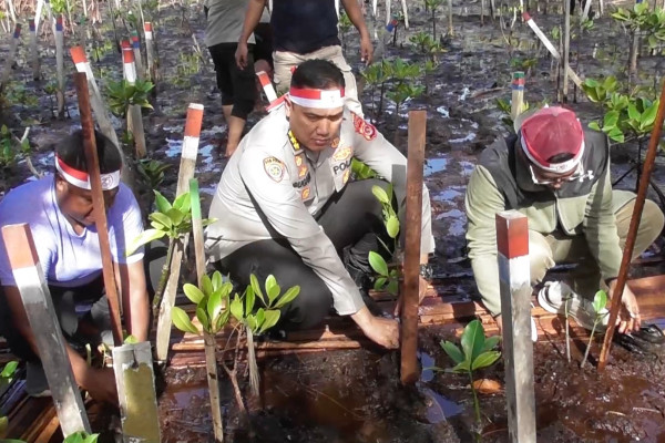 HUT Bhayangkara, ini alasan Polda Papua tanam 1000 pohon mangrove - ANTARA News