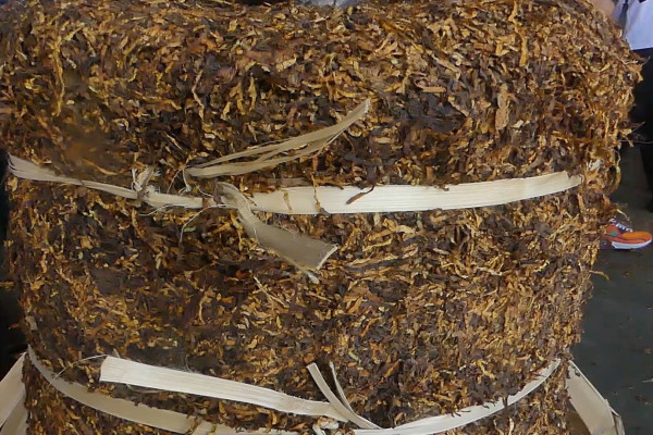 Imbauan DPRD Temanggung agar hasil panen tembakau diserap pabrik rokok - ANTARA News