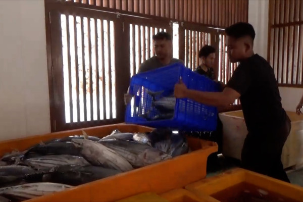 DIY resmikan Pelabuhan Perikanan Pantai Gesing berbasis pariwisata - ANTARA News