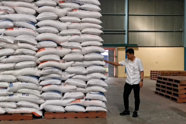Bulog Solo jamin stok beras aman hingga masa panen awal 2025 - ANTARA News