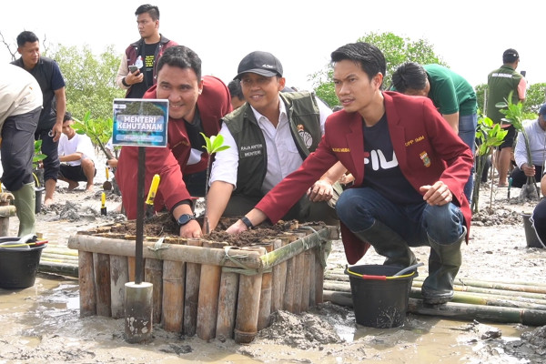 Menhut pimpin program penanaman 50 ribu bibit mangrove di Bali - ANTARA News