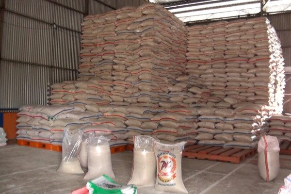 Bulog Kalteng pastikan stok beras cukup hingga Lebaran 2025 - ANTARA News