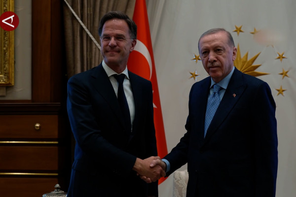 Kepada NATO, Erdogan tegaskan dukung gencatan senjata Rusia-Ukraina - ANTARA News