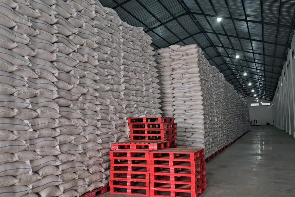 Optimalkan serapan gabah beras petani, Bulog Cabang Solo sewa 8 gudang ...