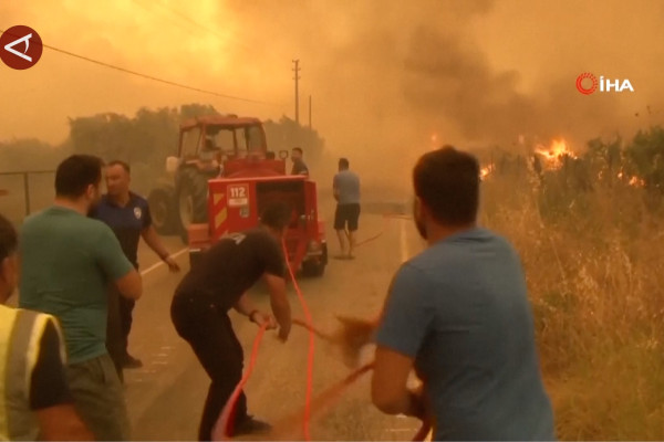 Angin kencang hambat petugas padamkan kebakaran hutan di Izmir - ANTARA ...