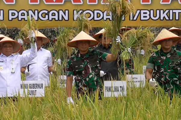 Dukung swasembada pangan, Panglima TNI panen raya padi di Sumut - ANTARA News