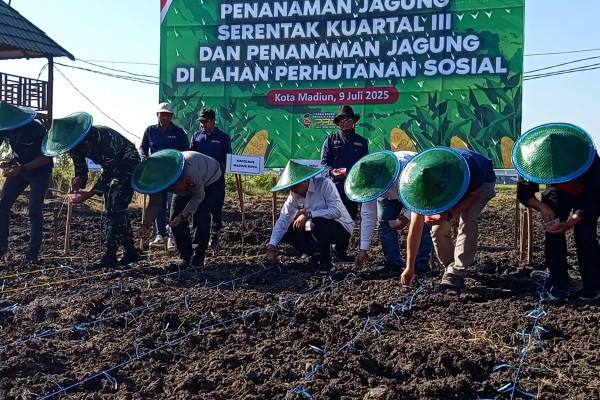 Swasembada pangan, Polres Madiun Kota tanam jagung serentak - ANTARA News