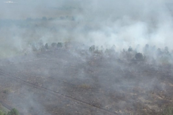 Gubernur Kalsel tetapkan status siaga darurat karhutla - ANTARA News