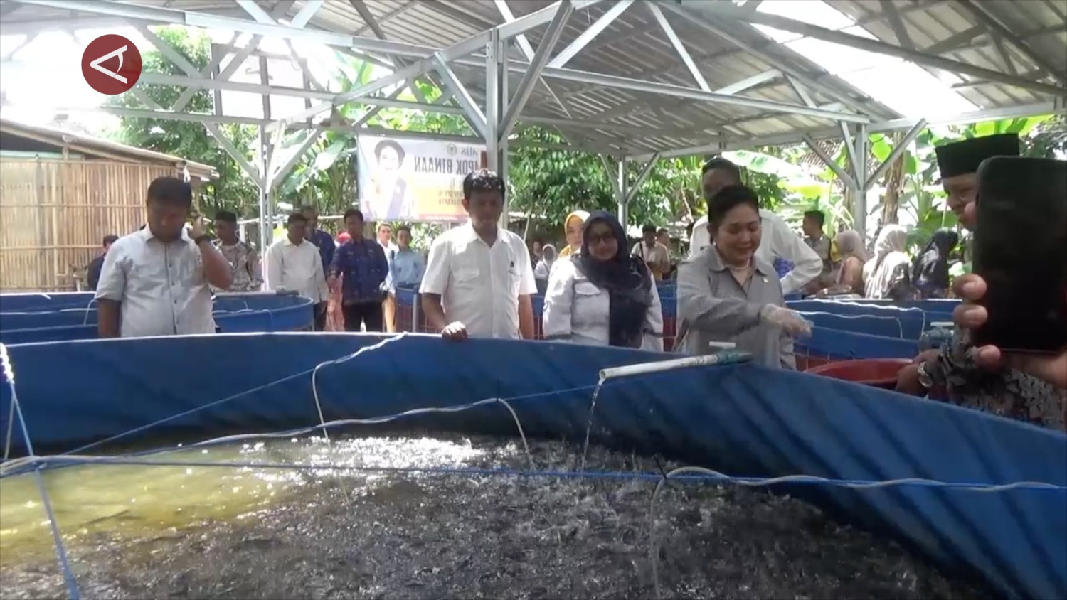 Kolam terpal bulat sistem kocor diminati pembudidaya lele di Bantul ...