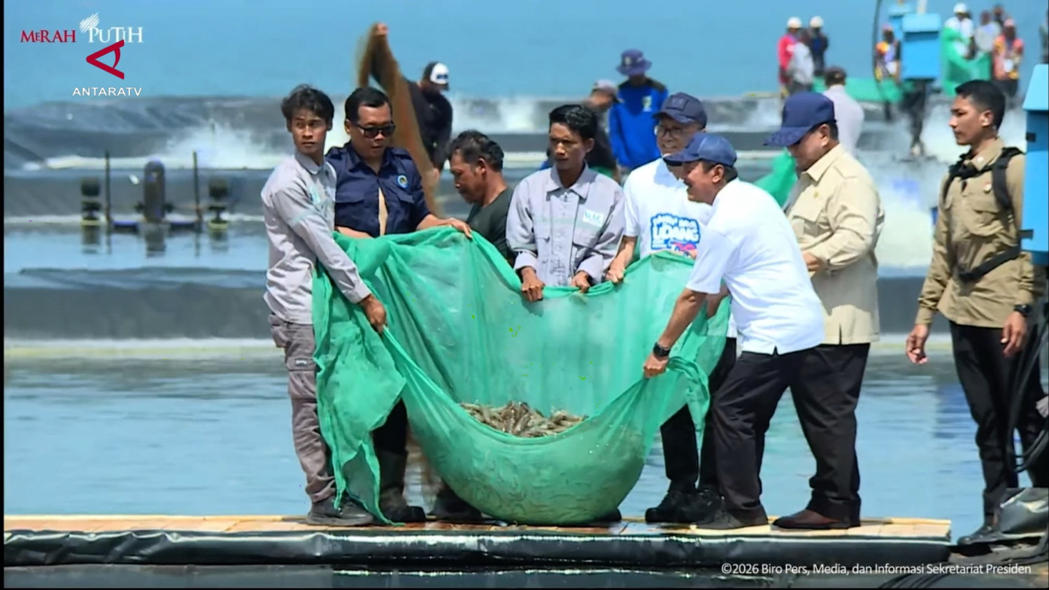 Prabowo tinjau panen raya udang di Tambak Budidaya Kebumen - ANTARA News